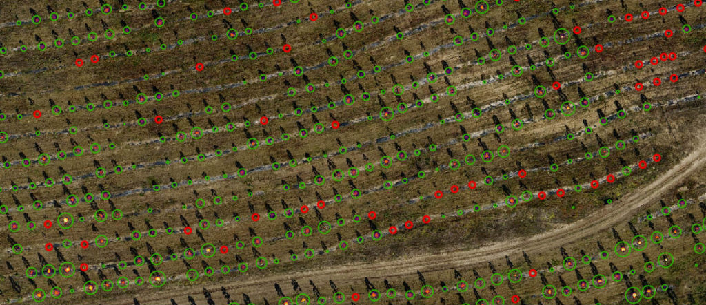 Automated Tree Detection Openforests