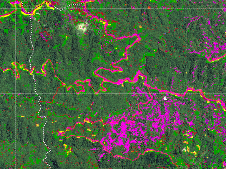 Remote Sensing - OpenForests