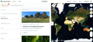 What is Rewilding? - OpenForests