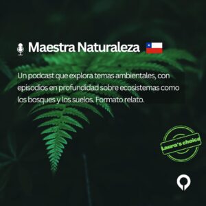 Top 12 Environmental Podcasts to follow in 2025: our team’s ...