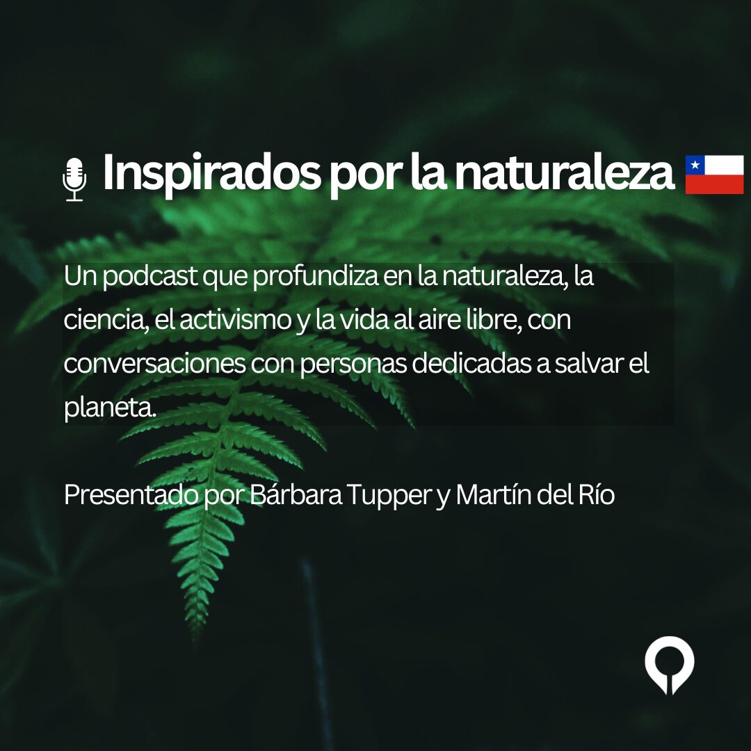 Top 12 Environmental Podcasts to follow in 2025: our team’s ...