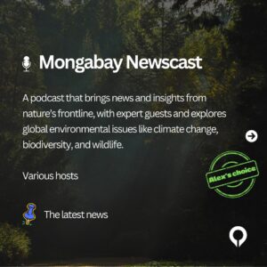 Top 12 Environmental Podcasts to follow in 2025: our team’s ...